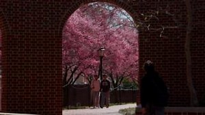 5.3K views · 85 reactions | Who’s ready for spring at UD?  | University of Delaware | Facebook