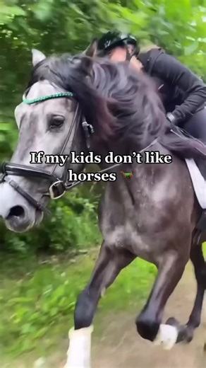 Understanding the Different Types of Horses