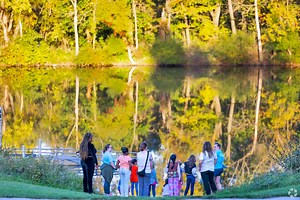 Living in the Hill Crest Neighborhood of Decatur, IL