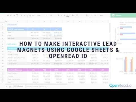 How To Make Interactive Lead Magnets Using Google Sheets & OpenRead io
