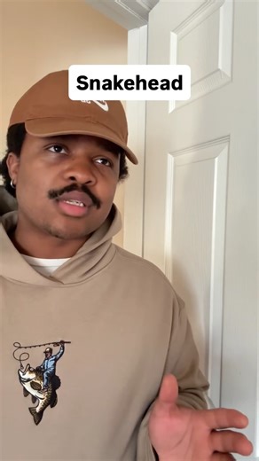 Elisha on Instagram: "Snakehead. Fishing. Fishing tips. Topwater Frogs. Chatterbait. Fishing advice. #fishing"