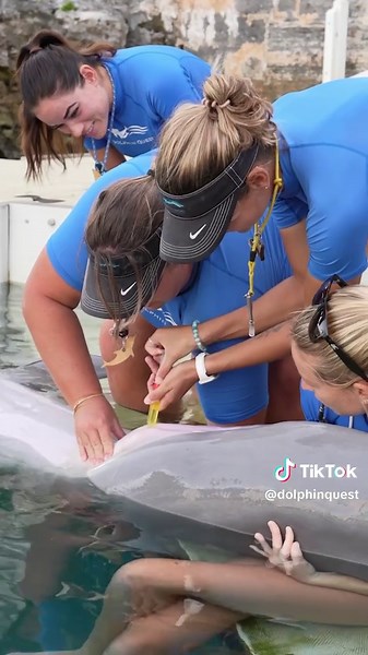 We’re continuing Dolphin Awareness Month by showcasing the conservation innovations that are changing the future of dolphin health. PHASM—our cutting-edge, non-invasive health assessment project—is moving from concept to reality, helping scientists gather vital data on wild dolphins without disturbing them. The trials will first take place in Galveston Bay, and with each exciting breakthrough, we’re expanding what’s possible in marine mammal care and protecting the future of these incredible ani