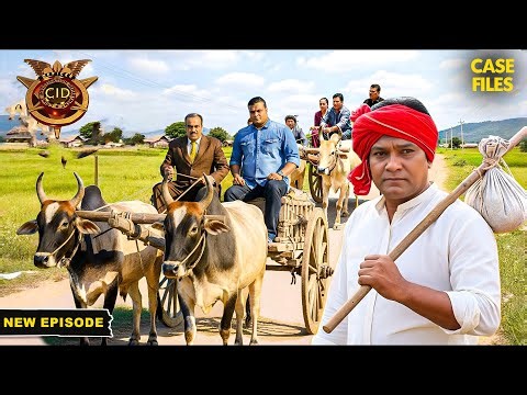 CID 2025 | CID new episode | CID full episode | CID serial | ACP Pradyuman | Daya | CID Abhijeet
