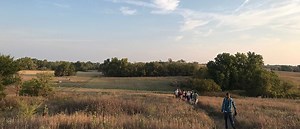 New Roots for Restoration Biology Integration Institute | Danforth Center