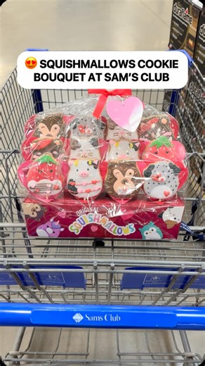 Sam’s Club Favorites | 😍 Squishmallows Cookie Bouquet at Sam’s Club! This includes 12 sugar cookies attached to cute Squishmallow exchange cards! 🥰 Great for... | Instagram