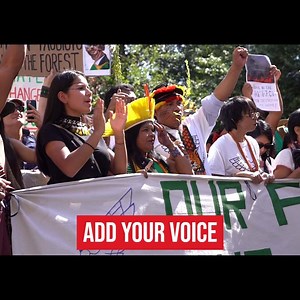 Your 1 million voices were brought to the historic climate march in NYC last week. Petition signers from around the world are #AllinforClimateAction. Join them here: change.org/allinforclimateaction | Change.org