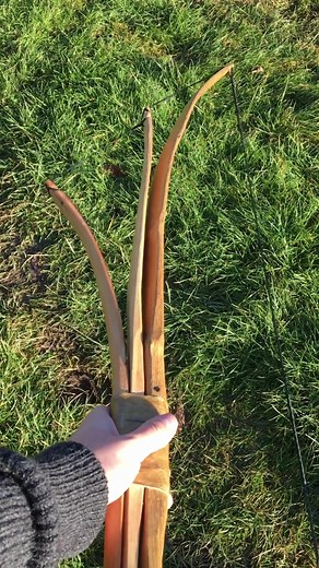 Penobscot style triple bow 👊 #bow #recurvebow #archery #bowyer #bowbuilding