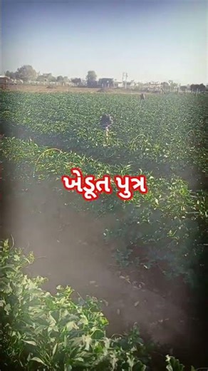 ખેડૂત પુત્ર#love