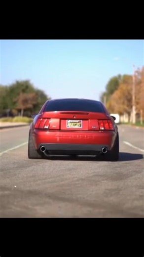 2004 Mustang Cobra terminator with Kenne Bell Supercharger. Gotta love that whine ❤️‍🔥🔥🔥 Terminator Cobra, 4valve & Mach 1, Faq & Parts Market. Terminator Cobras | Cody Mustang Enthusiast Hennion