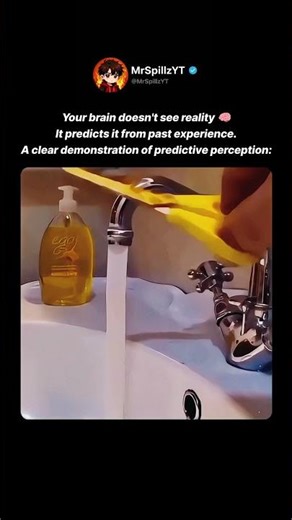 Your Eyes Don’t Show You the Truth🧠