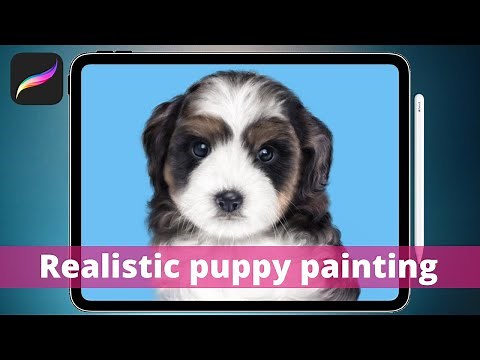 Realistic Dog Portrait // Step By Step Procreate Tutorial