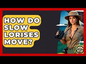 How Do Slow Lorises Move? - The Wild Life Explorer