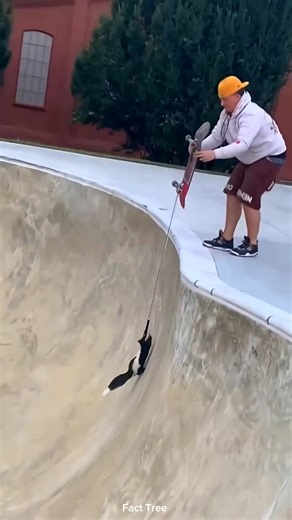 He thought he was helping but it was a Skunk!