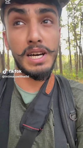 Solo birding Be like …#nature #photography #wildlife #moments #birds #birdphone #nepal #intothethickofit #wild #intothewild #creatorsearchinsights