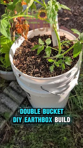 DIY Earthbox build #growstuffirl #diy #earthbox #tomatoes #garden #organicgardening