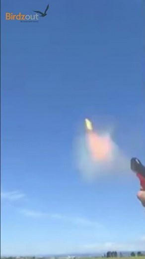 Birdzout Pyrotechnics Screamer in Action