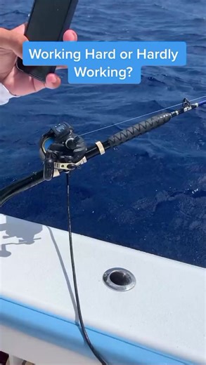 Electric reel for meat missions #electric #fish #snapper #deep #bahamas #offsho #florida #fishing | Donald Fishing Farm