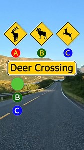 Road Signs Trivia Quiz Challenge | DMV Test #DMVTest #RoadSigns #DrivingQuiz #DMVPractice #PermitTest #DrivingTestTips | WHAT WOULD You Rather