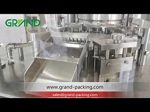 Hard Capsule polishing and sorting machine
