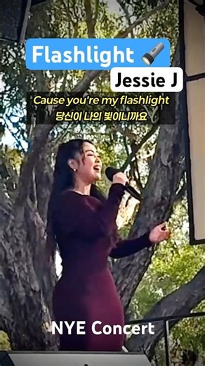 Flashlight - Jessie J / Sung by Sion Lee