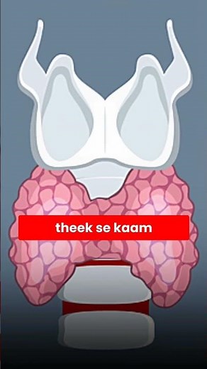 TSH Test Explained | Is Your Thyroid Making You Sick? | (Part 4: Understanding Blood Tests)