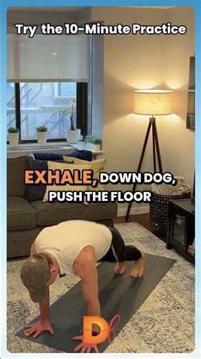 Energizing Spinal Warmup (Plank → Down Dog) #dailyflowyoga