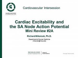 CPR Intersession: Cardiac Excitability and teh SA Node Action Potential