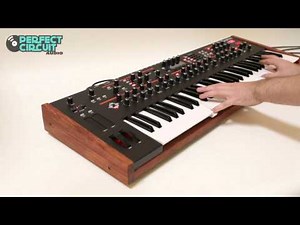 Dave Smith Instruments Prophet 12 Demo