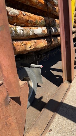 Living the alder life! Should have shortened it up, oh well we made it! 👌 #pnwlogger #oregonlogger #logtrucker #logtruck