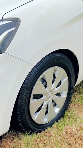 Explora el fenómeno Cloneboy