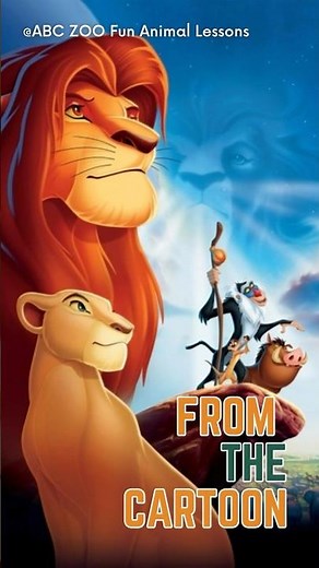 Cartoon Animals in Real Life: A Wild Adventure! | ABC ZOO Fun Animal Lessons