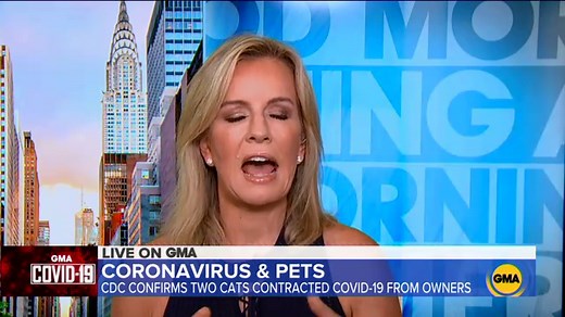 Virginia becomes 4th state to ban cosmetic animal testing