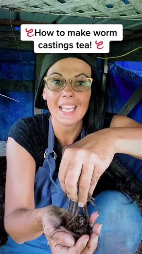 🪱How to make worm castings tea!🪱 link in my bio for the plant juice🪱🍃#worms #wormcastings #wormcasting #wormcastingtea #wormcastingfertiliser #homemadefertilizer #gardening101 #gardeningtips #gardeningtiktok #plantjuice