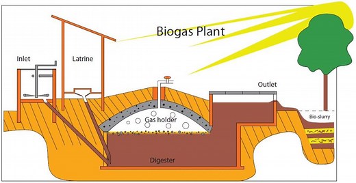 Bio-Digester vs Composter
