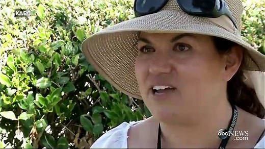 Girl, 10, Stops Thief From Stealing Mom's Wallet