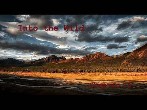 Into the Wild Chapter 16 Summary