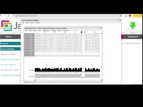 MSA Jalview: Visualizing Multiple Sequence Alignment Using Web-Based Tools (DNA Alignment Tutorial)