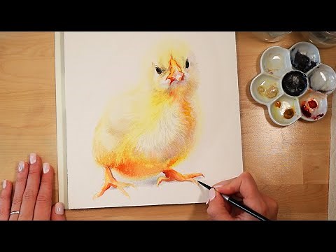 Watercolor Soft Chick Painting Tutorial