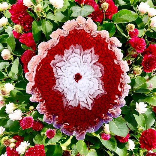 Bloom flower with crackle back in epoxy resin #crafts #resinart