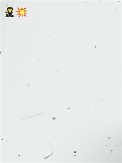 #মাশাআল্লাহ #KABOOTOR #SIAM_PIGEON_LOFT #KABOOTOR_LOFT #মাশাআল্লাহ