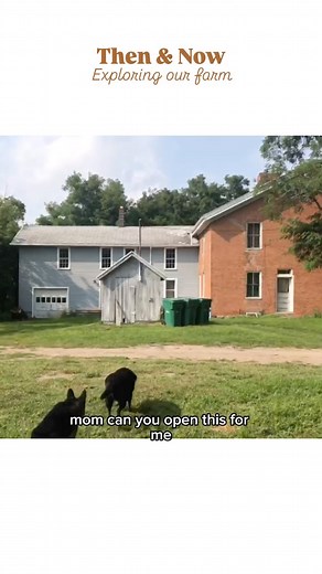 Then & Now: Exploring our farm for the first time (2019) | Story of This Life