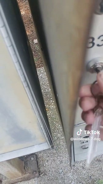 windows7dog🐬🐬🐬 (@windows.7.dog)’s videos with original sound - windows7dog🐬🐬🐬