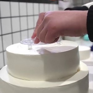 4 Tier Cake Separator Plates and Pillar Set - 4 Pcs Cake Separator Plates and 12 Pcs Cake Sticks Support Dowel Rods for Tiered Wedding Birthday Cakes