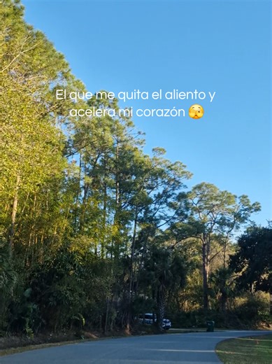 Que ya dejen de esconderse así 🥲 #police #rosalia #usa