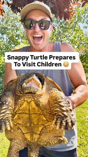 Snappy Turtle Prepares To Visit Children 😳🐢 | Corbin Maxey