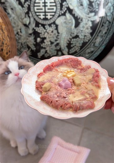 Let’s feed Azula RAW rabbit 🐰🥛💖 Menu 🍽️: ⟡ @Viva Raw Viva Raw Rabbit 🔖 AZULA for 60% off 10lb Sampler Box ⟡ @Adored Beast Apothecary Adored beast Apothecary Love Bugs 🔖 Link in bio ⟡ Honestbites Chicken Goat Milk Purée ⟡ @Arya.Sit berry Yogurt ⟡ Love Around Freeze Dried Chicken ⟡ Paws n Chews Fermented Goats Milk ⟡ HonestBites Goat Milk & Chicken ⟡ @Choolip Choolip Berry Good Milk 🔖 AZULATHERAGDOLL for 10% Choolip products 🏷️: #catfeeding #feedmycat #asmr #spoiledcat #catsoftiktok