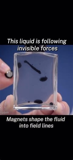 This Liquid Is Controlled by Magnets 🤯