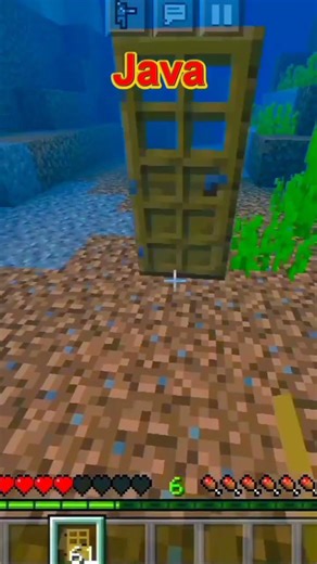 Minecraft Java vs Bedrock #viral #trending #minecraft #shorts