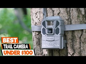 Best Trail Cameras Under $100: A Budget Buyer's Guide