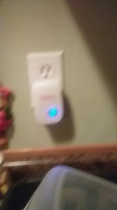 Watch Pest reject on Amazon Live